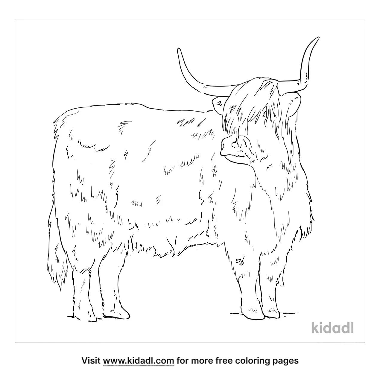 Printable Coloring Pages Highland Cow - Printable Templates