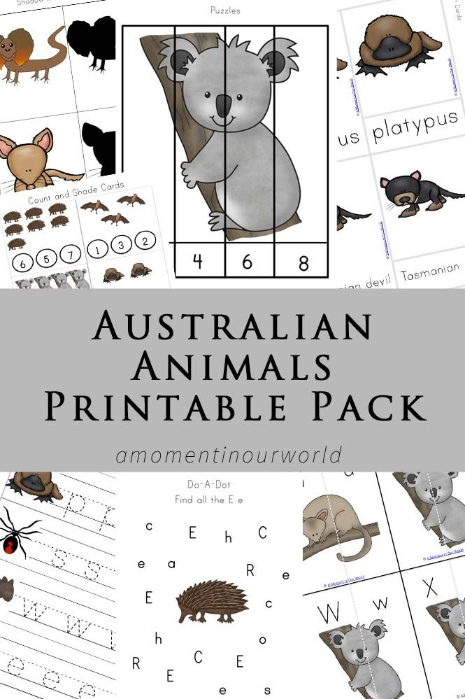 Printable Australian Animal Craft - Printable Templates
